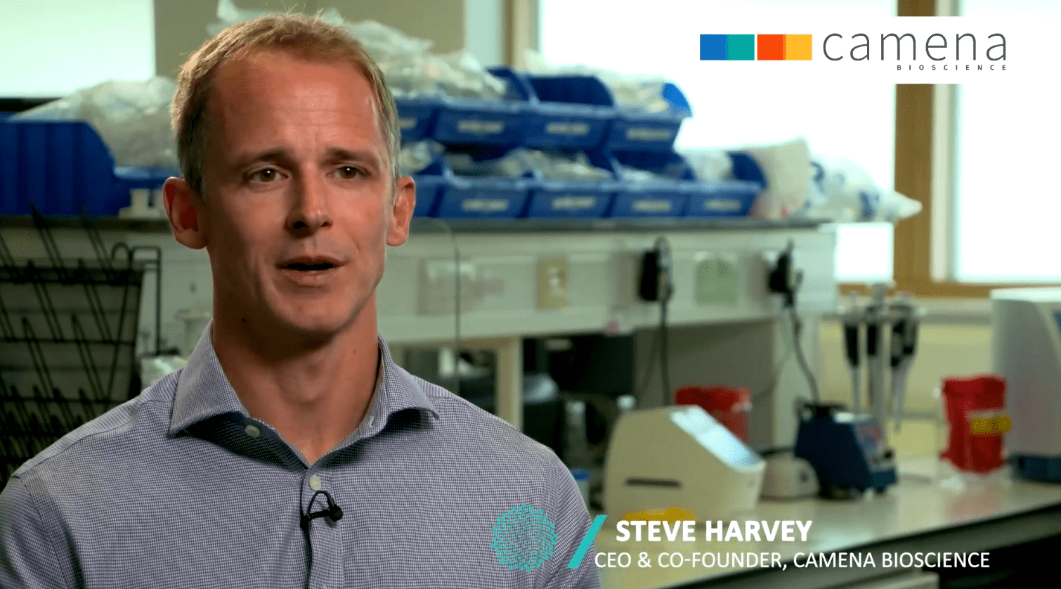 Rewriting DNA synthesis technology | Camena Bioscience